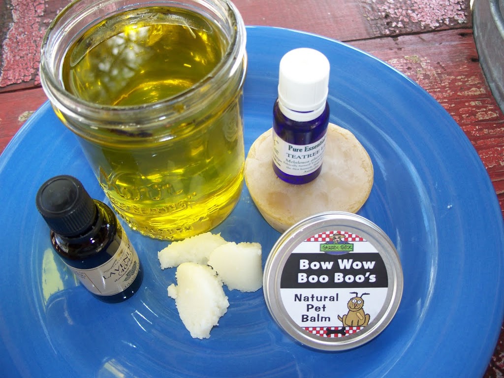 Herbal Healing Salve for Dogs – Garden Chick