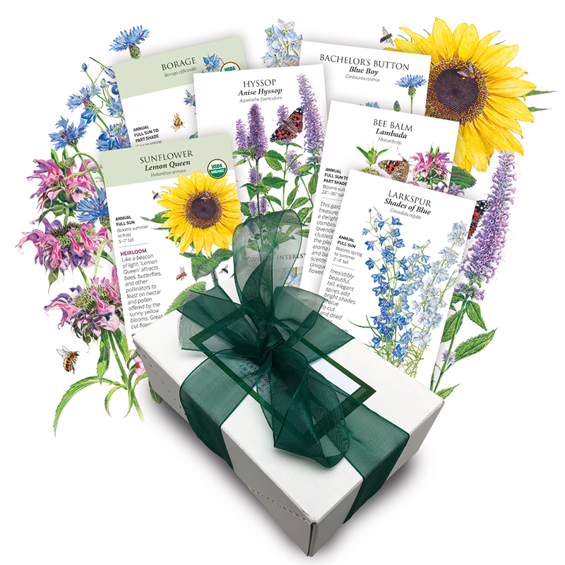 Give the Gift of a Garden – Garden Chick