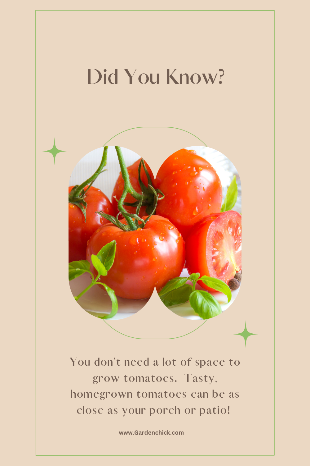 Grow Tasty Homegrown Tomatoes in Containers – Garden Chick