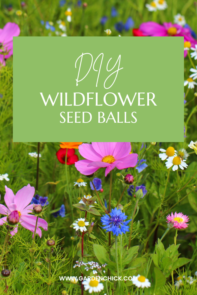 Growing Wildflower Gardens One Seed Ball at a Time – Garden Chick