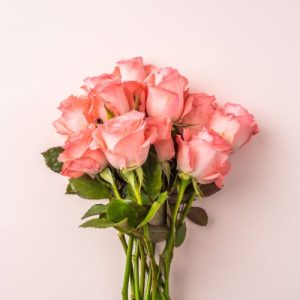 The Secret Language of Flowers – Garden Chick