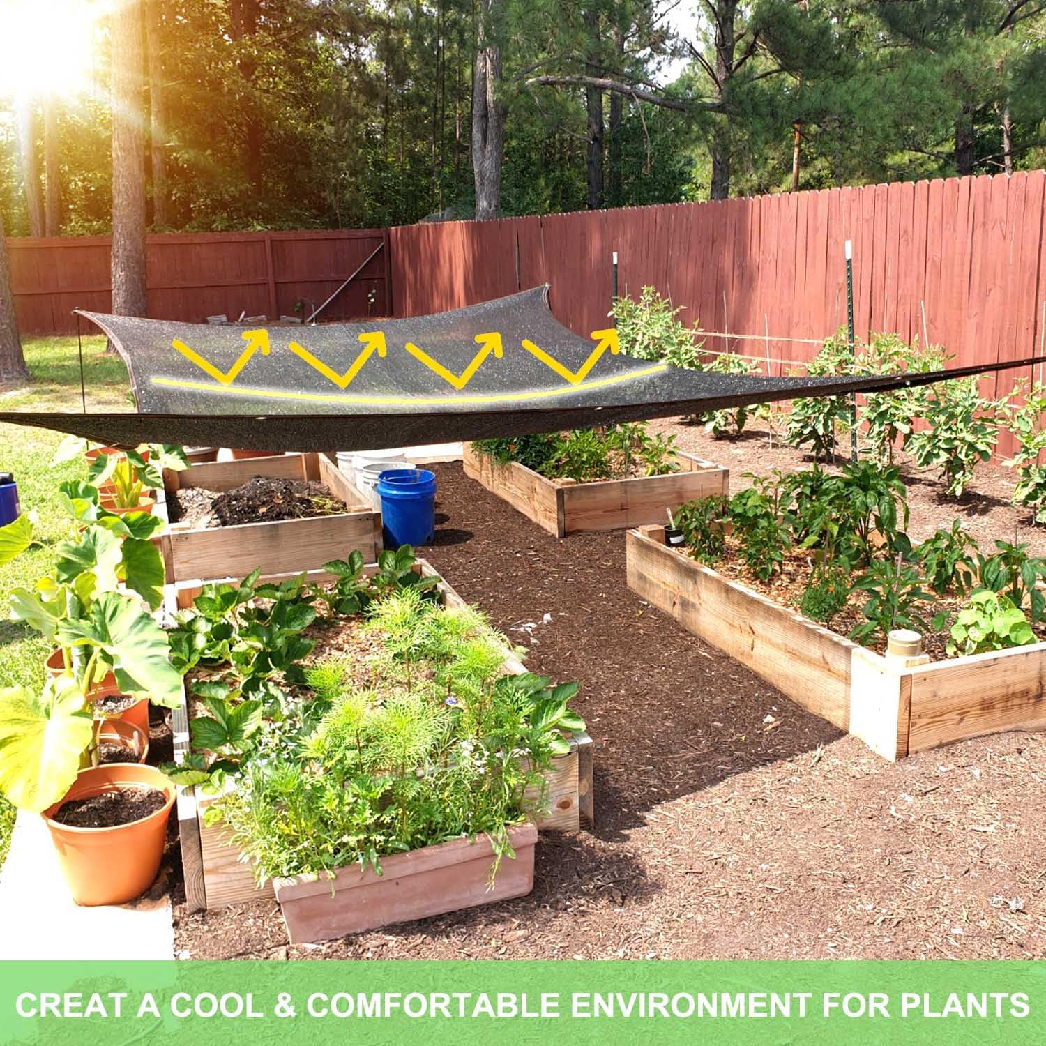 Why Do Vegetables Bolt – Garden Chick