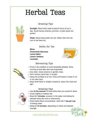 Herbal Tea Garden – Garden Chick