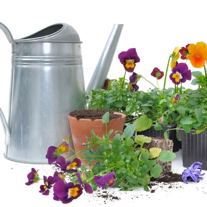 How to Refresh and Reuse Potting Soil – Garden Chick